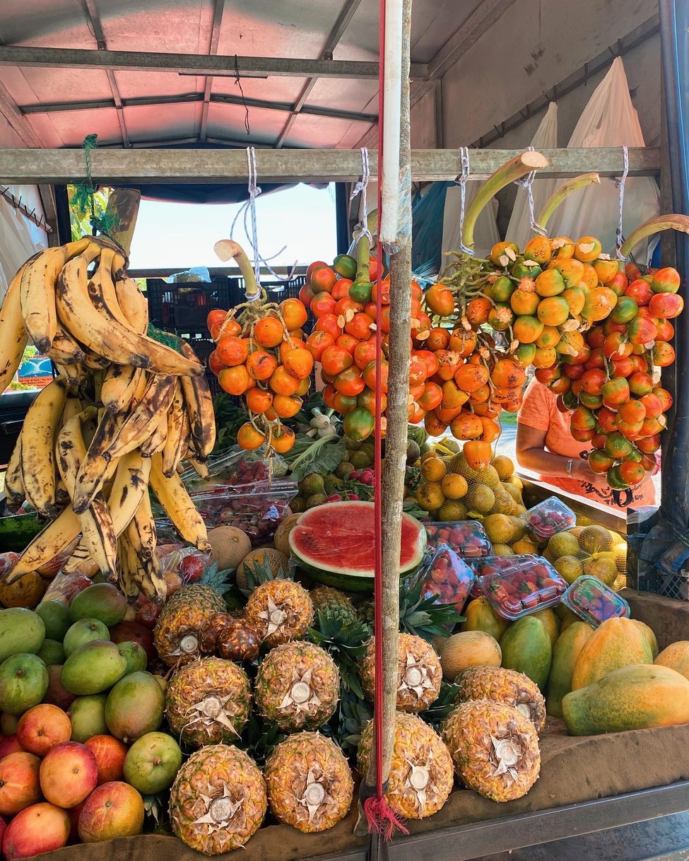 You Can’t Run Out Of Things To Do In Quepos, Costa Rica