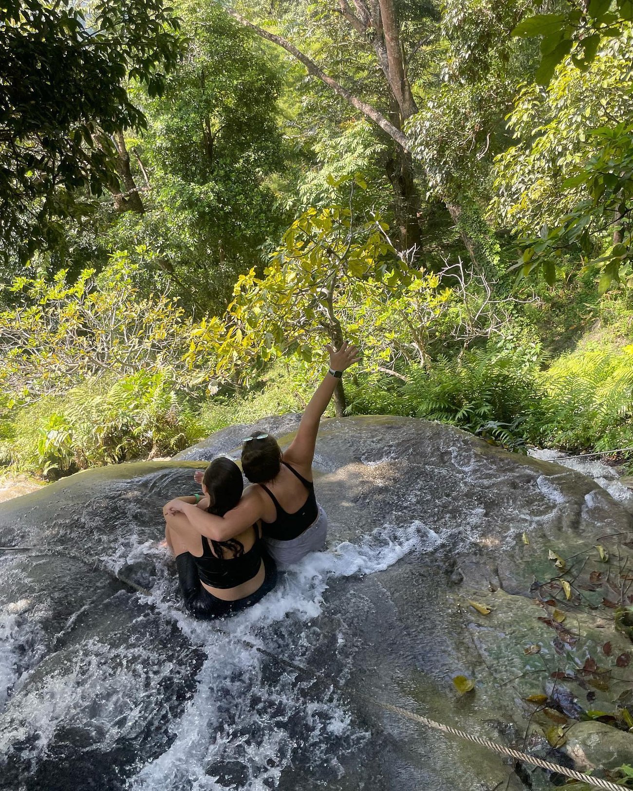 The Bua Tong Sticky Waterfall Is Right By Chiang Mai, Thailand