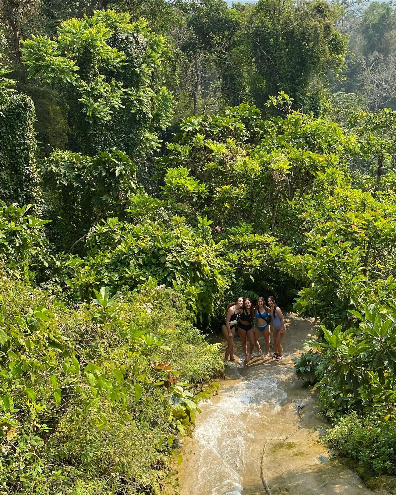 The Bua Tong Sticky Waterfall Is Right By Chiang Mai, Thailand