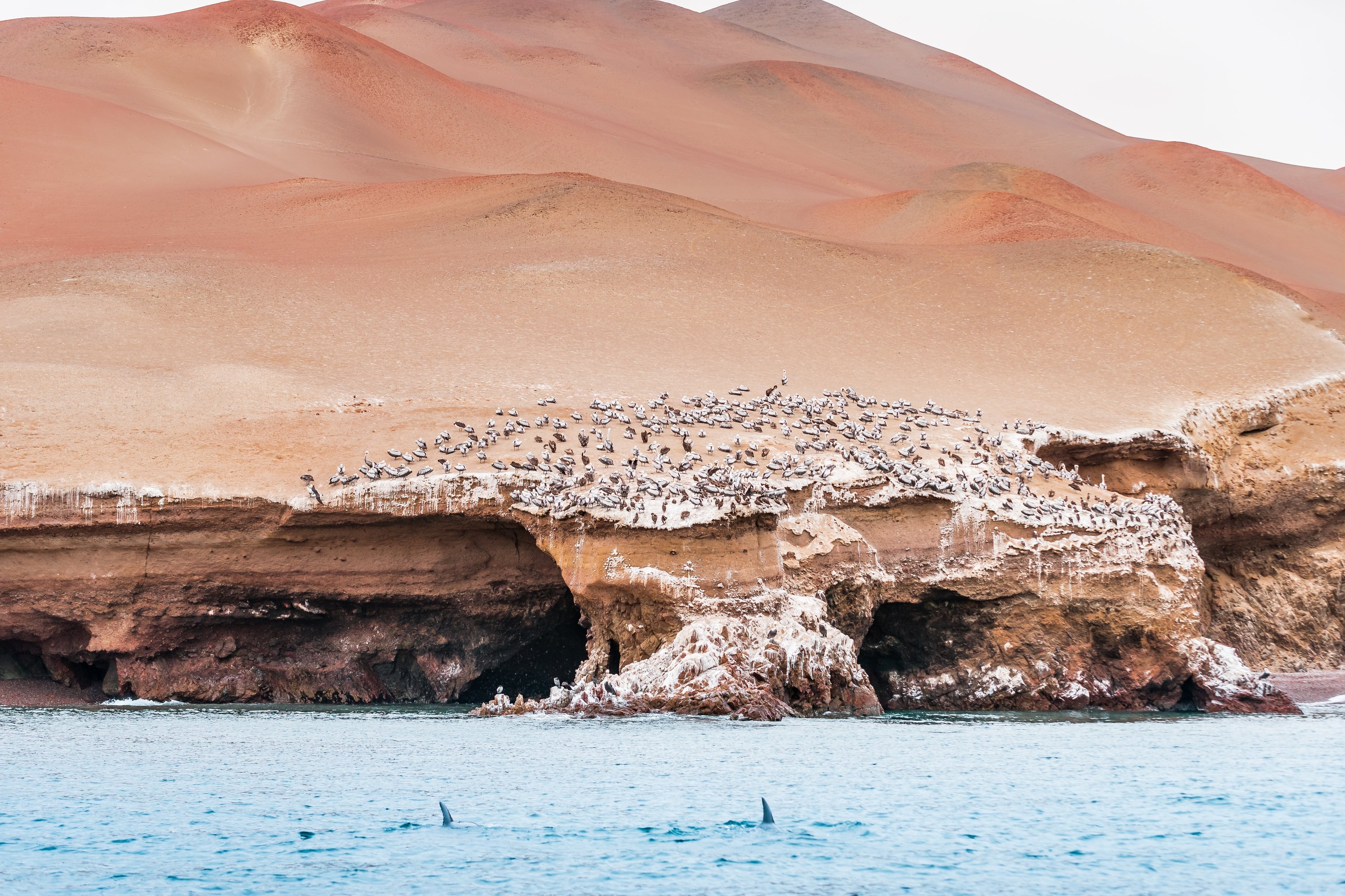 The Paracas Peninsula + Other Weekend Trips On The Peru Coast