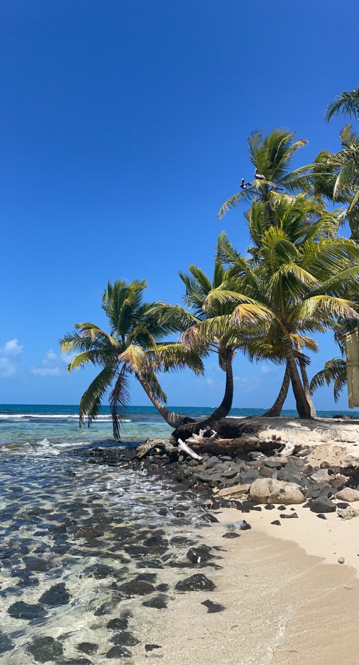 Find Your Own Private Island On One Of Nicaragua's Pearl Cays