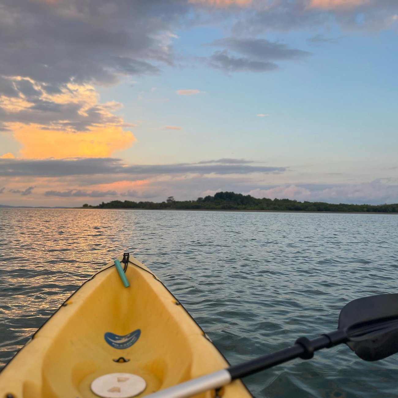 Paradise Found! Puerto Jimenez Is Home To Everything You Want To Do In ...