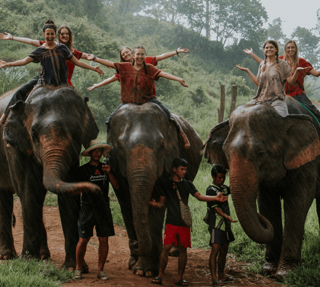 Quick ILP Facts You Need To Know