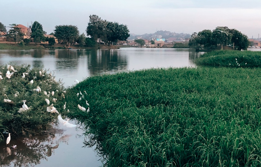 All The Things To Do In & Nearby Lugala, Uganda