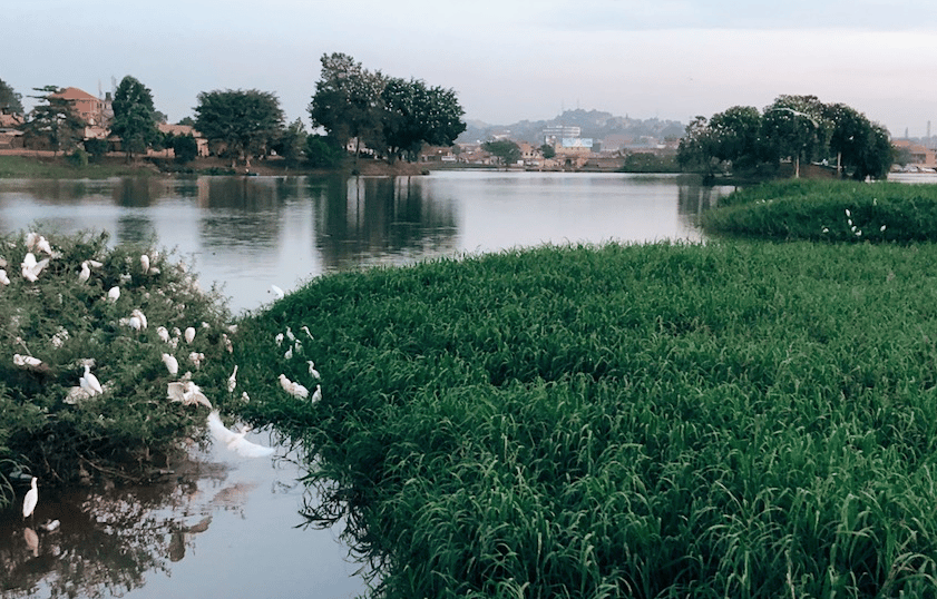 All The Things To Do In & Nearby Lugala, Uganda