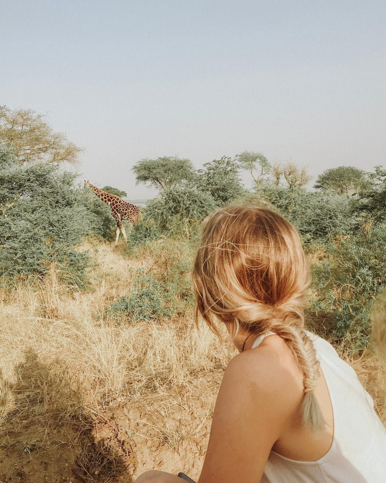 Is Volunteering With ILP Right For You?