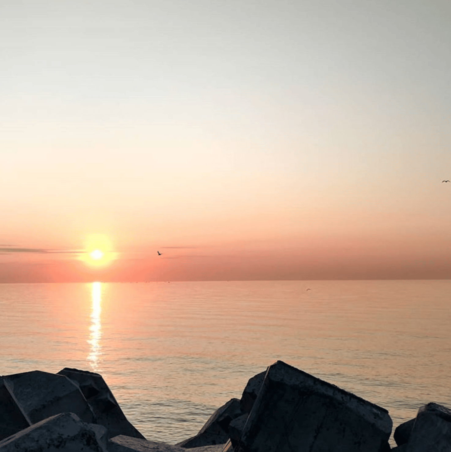 Relax On The Coast In Constanta, Romania