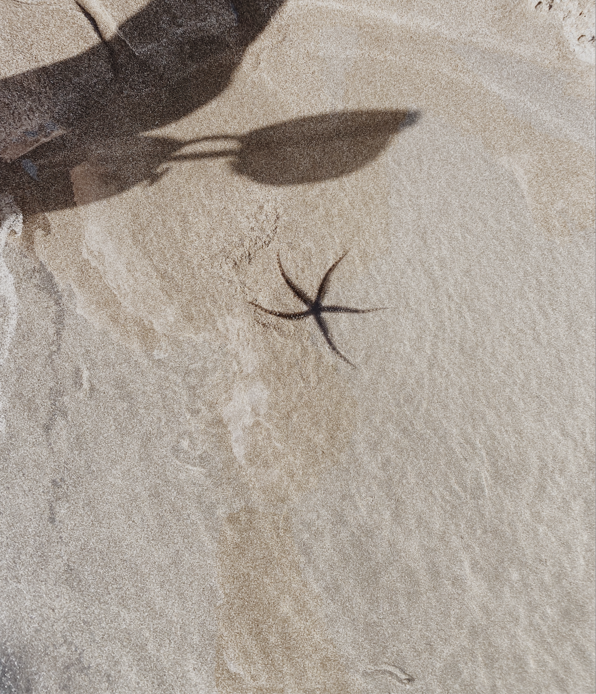 The Best Beaches Along The Pacific Coast Of Nicaragua