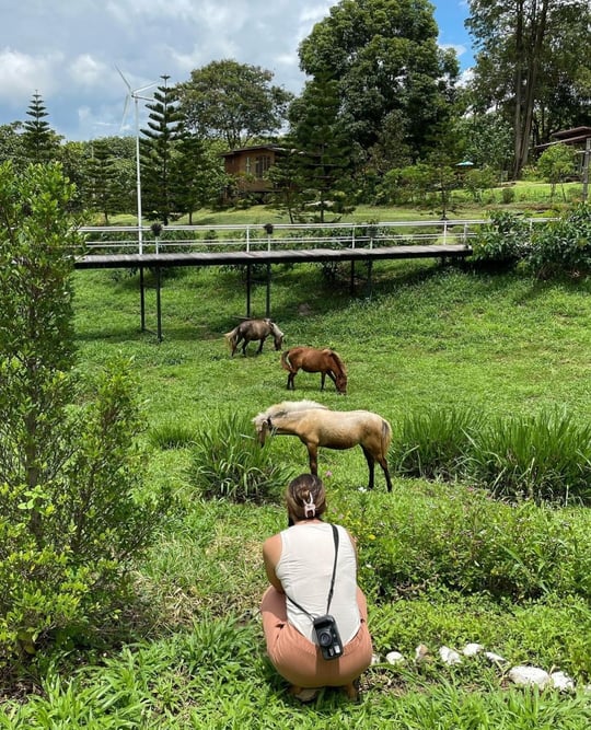 Find The Prettiest Mountain Views, Flower Fields, And Waterfalls In Ban ...