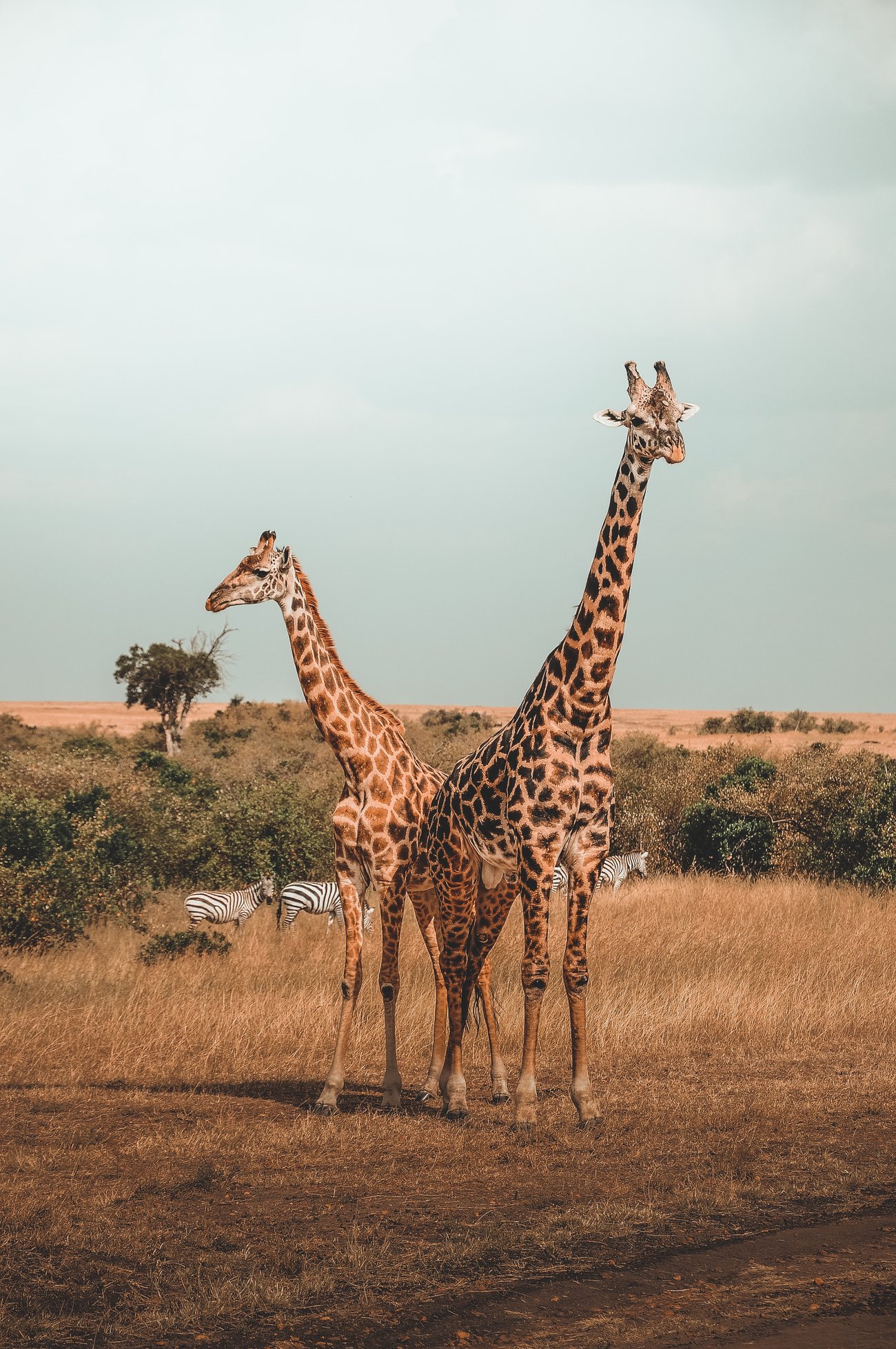 Basic Phrases In Luganda To Know For Your Semester In Uganda