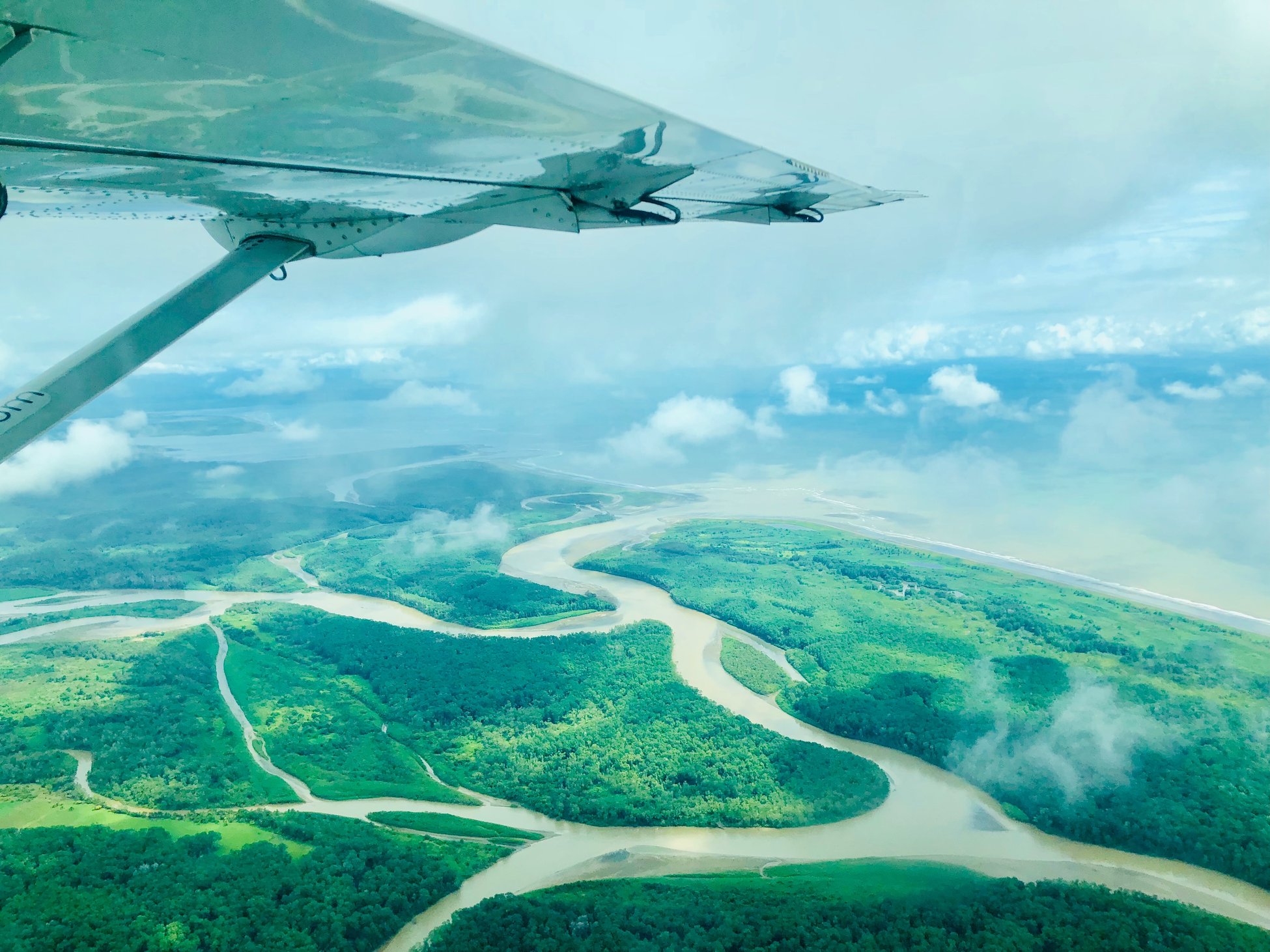 Paradise Found! Puerto Jimenez Is Home To The Best Of Costa Rica